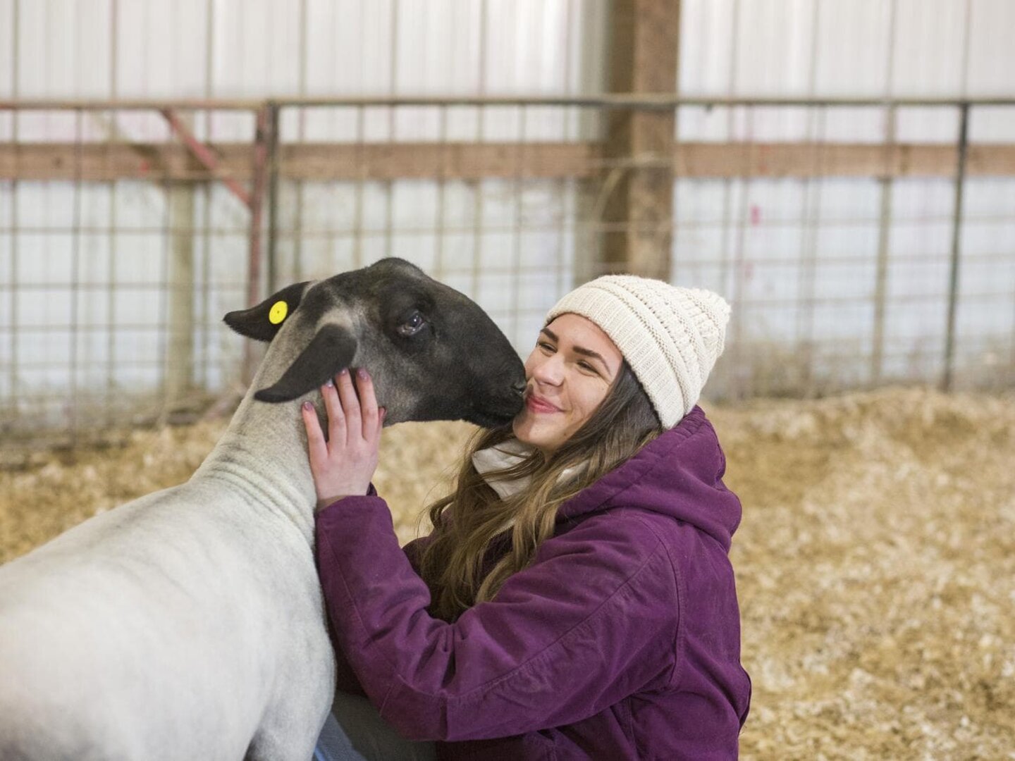 Livestock Program | Nebraska 4-H | Nebraska