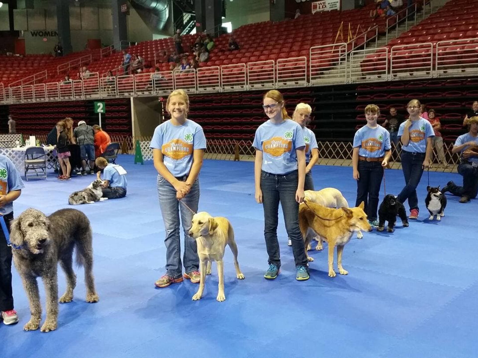 Companion Animal Program | Nebraska 4-H | Nebraska