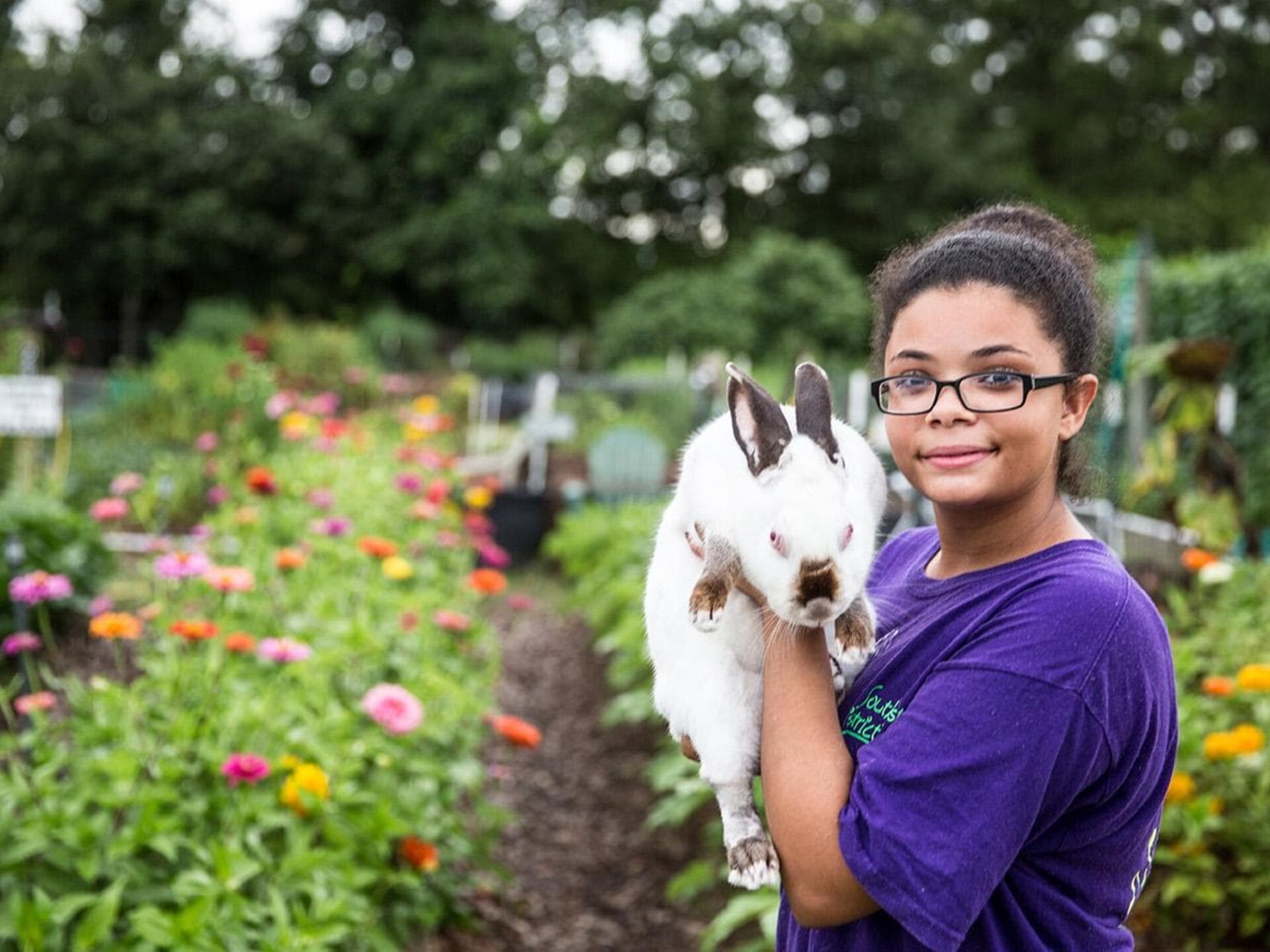 Companion Animal Program | Nebraska 4-H | Nebraska