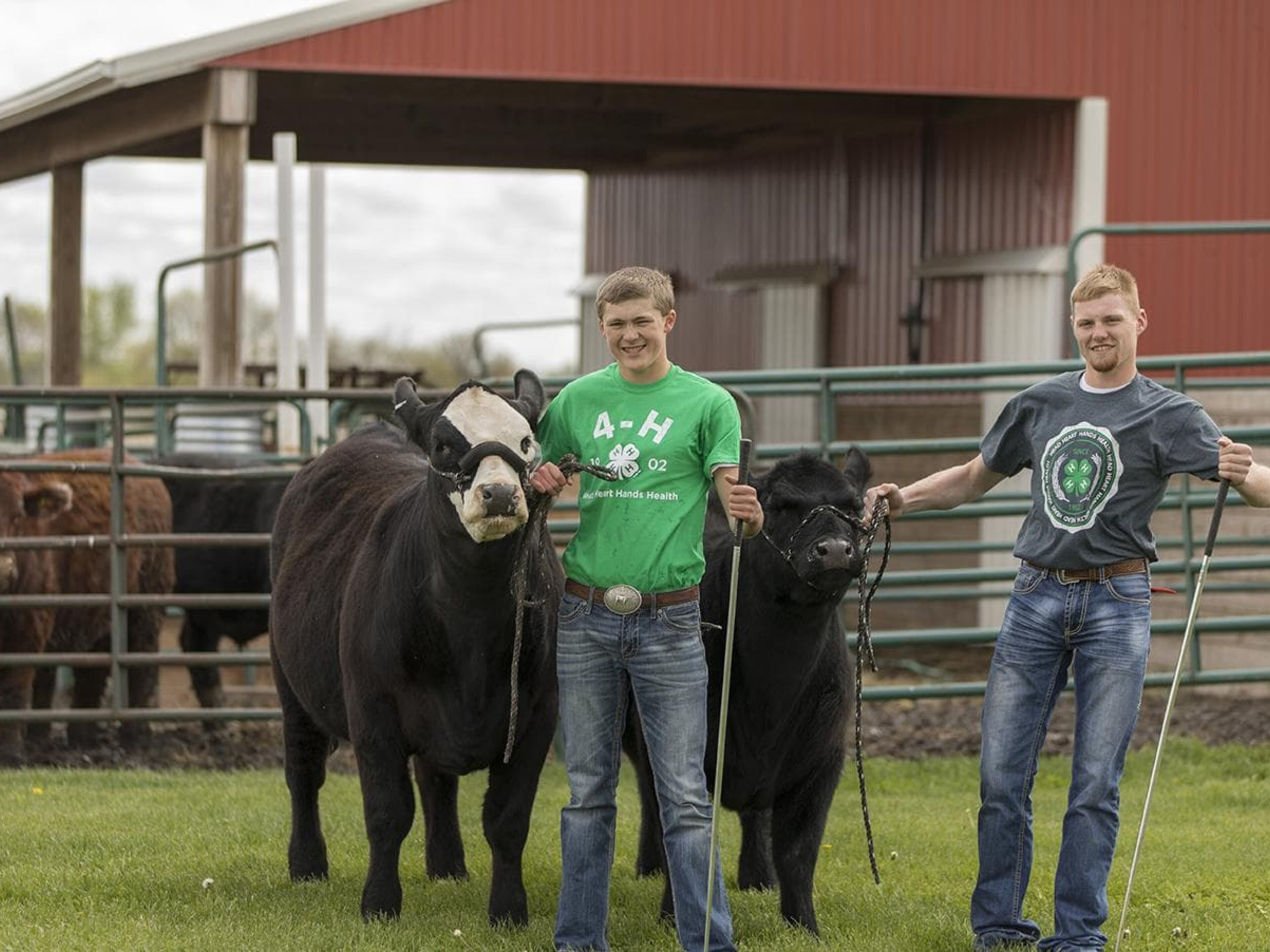 Livestock Program | Nebraska 4-H | Nebraska