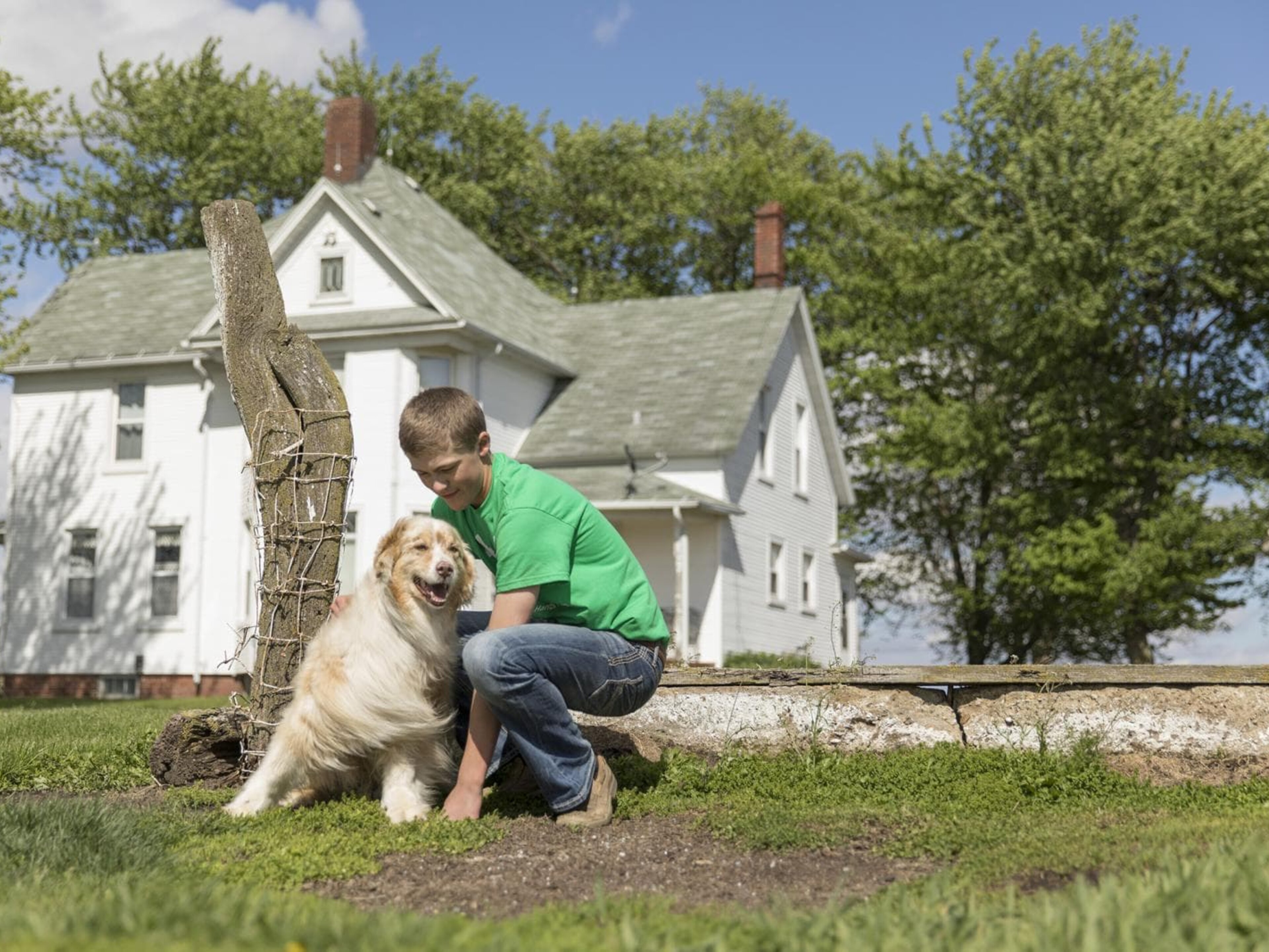 Companion Animal Program | Nebraska 4-H | Nebraska