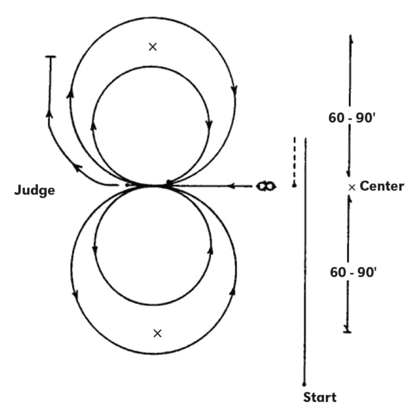 Nebraska 4-H Reining Pattern #1 | Nebraska 4-H | Nebraska