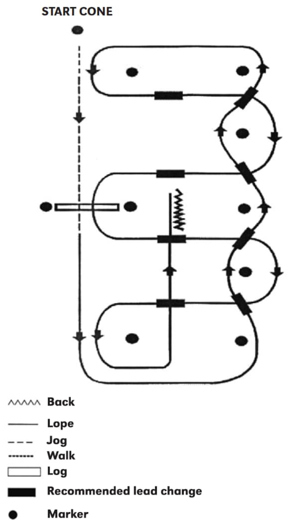 AQHA Western Riding Pattern #1 | Nebraska 4-H | Nebraska
